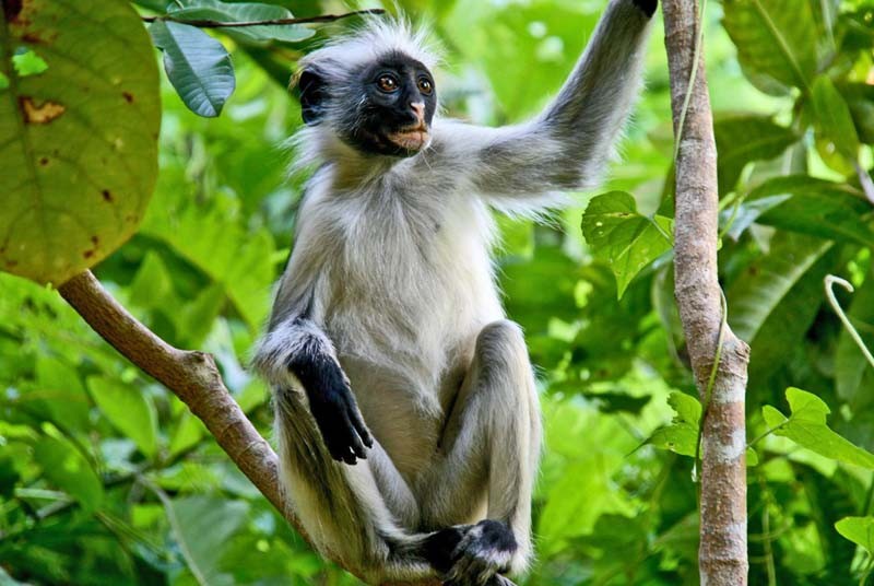 Tansania Highlights: Das besondere Reiseziel erleben | erlebe Tansania