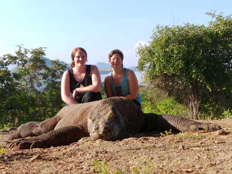 Komodowarane entdecken im Komodo Nationalpark | erlebe Indonesien
