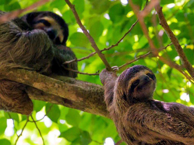 Erstaunlich Einreisebestimmungen Costa Rica Bild