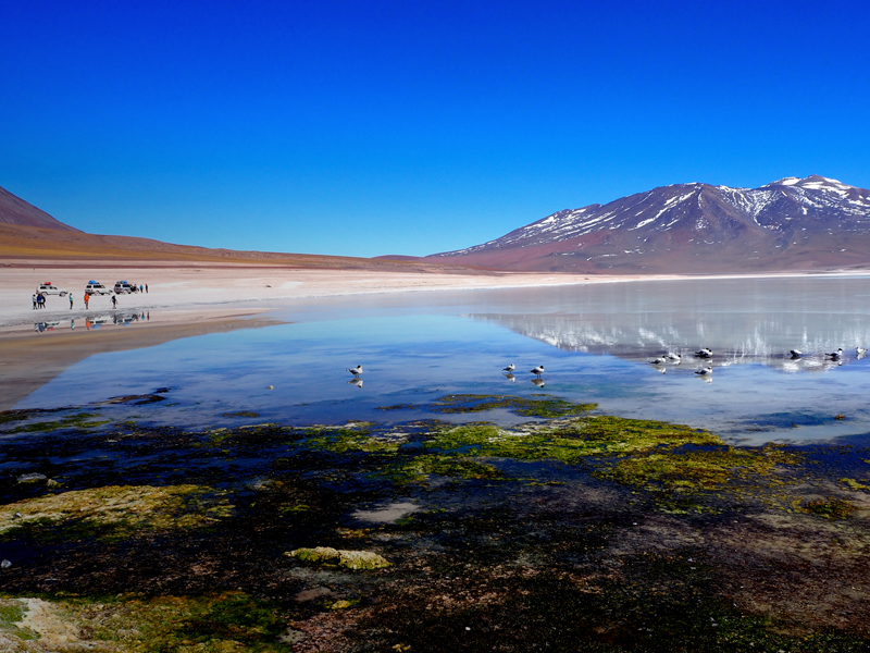 Peru Highlights: Das besondere Reiseziel erleben 💚 erlebe Peru