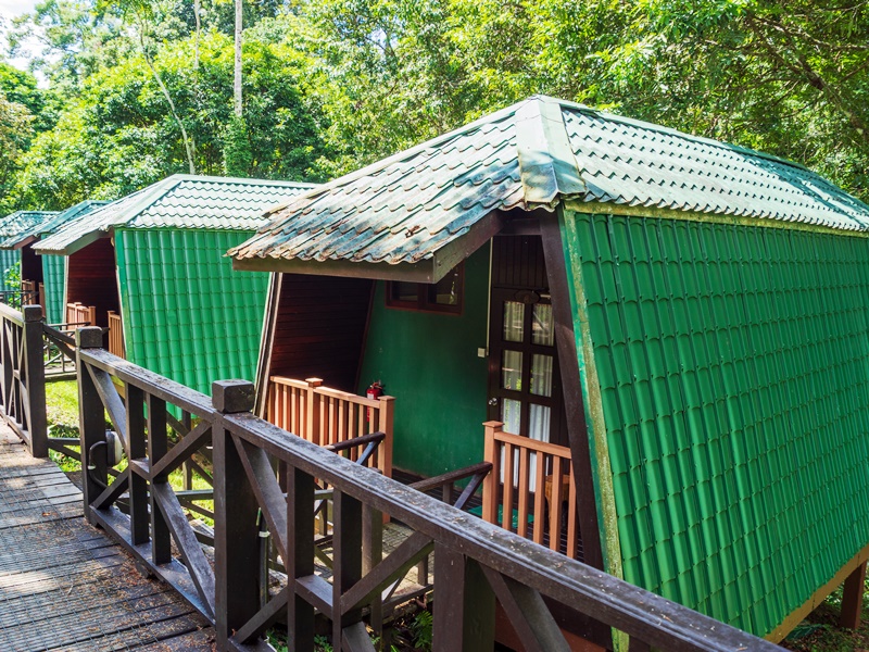 Our Accommodation | Borneo Family Holidays | Rickshaw Travel